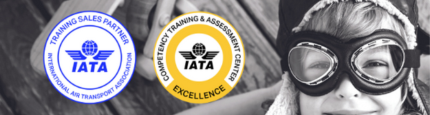 Butterfly Training:18 Años De Formación Online En Aviación